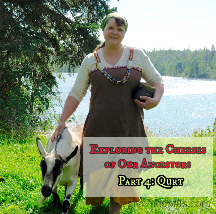 Exploring the Cheeses of Our Ancestors - Part 4: Qurt - If you give a ...